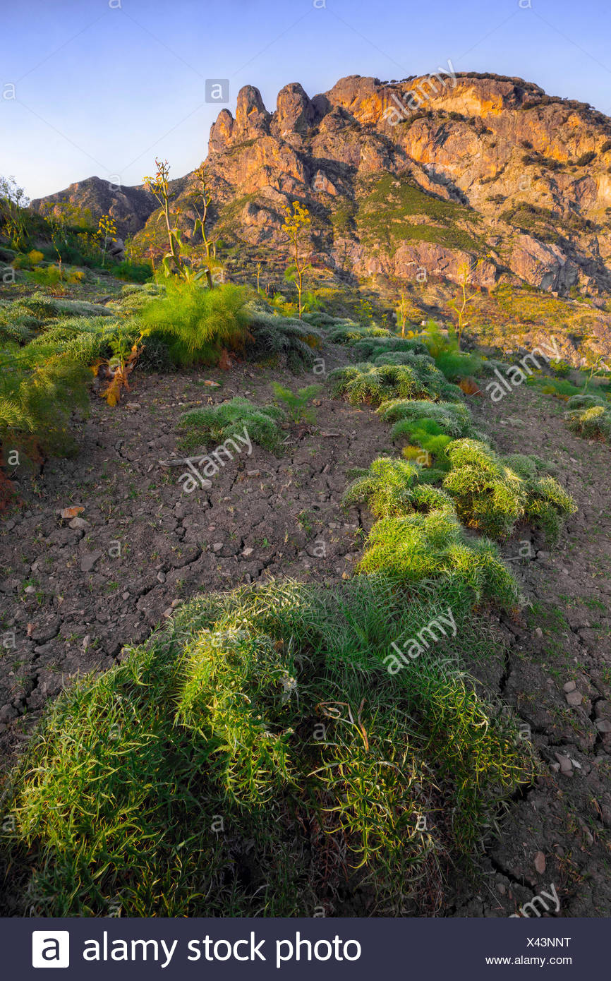 Cimina High Resolution Stock Photography and Images - Alamy