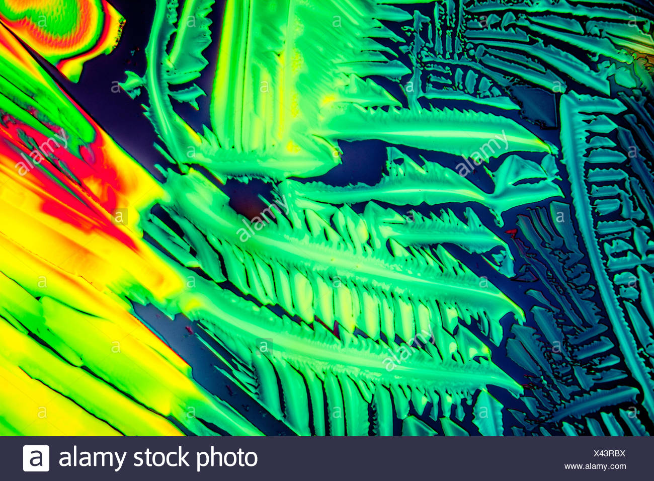 Urea Crystals Stock Photos & Urea Crystals Stock Images - Alamy