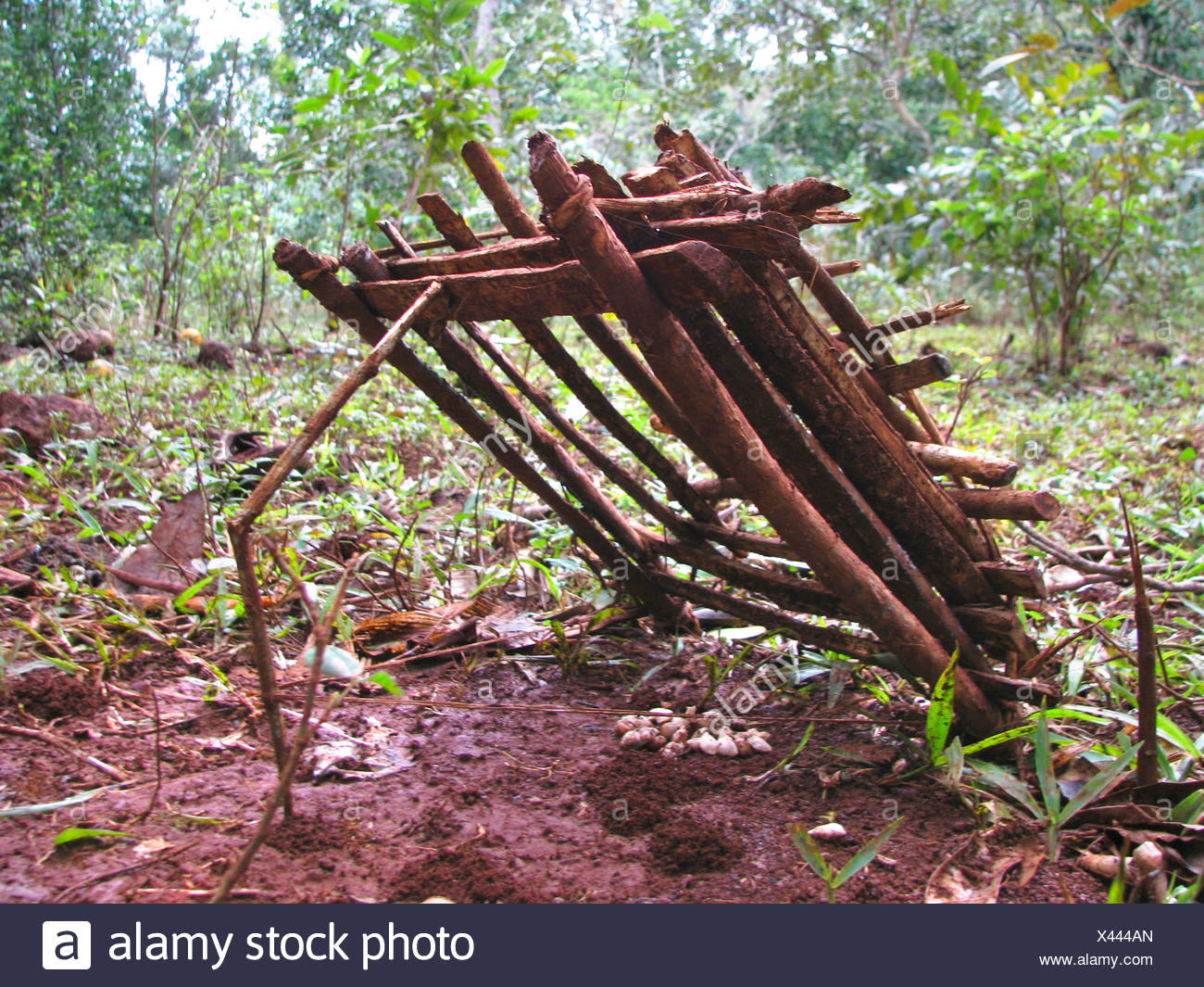 Wooden Made High Resolution Stock Photography and Images - Alamy