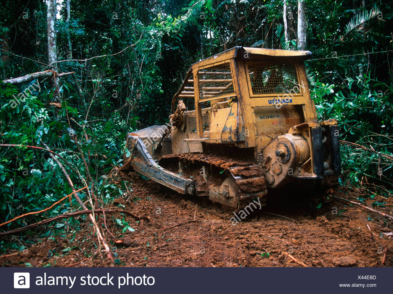 Bulldozer Clearing Trees Stock Photos & Bulldozer Clearing Trees Stock ...