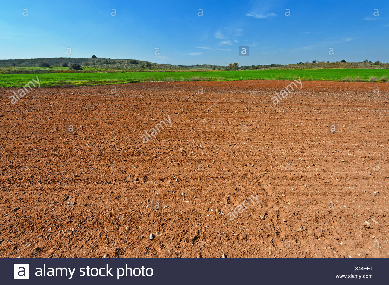 Desert Farming Israel Stock Photos & Desert Farming Israel Stock Images ...