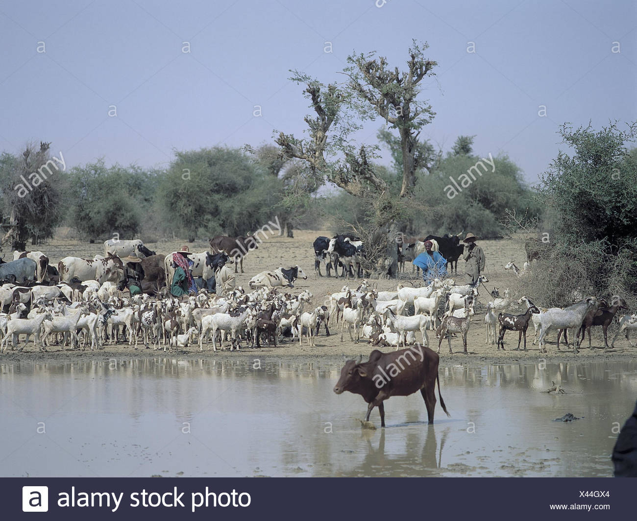 Goats Hole High Resolution Stock Photography and Images - Alamy