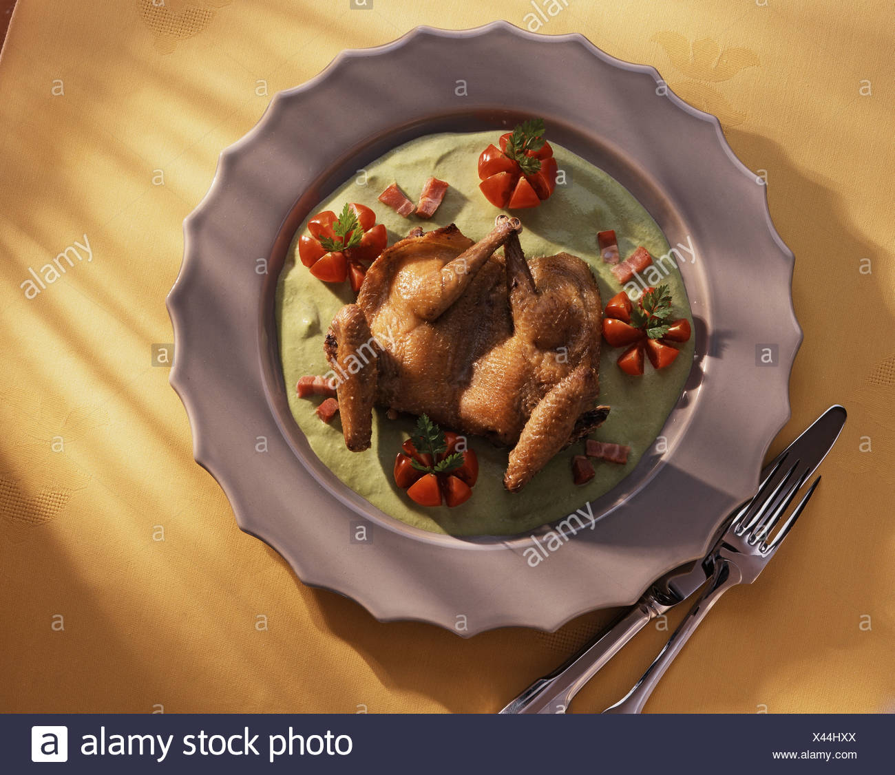 Squabs High Resolution Stock Photography and Images - Alamy