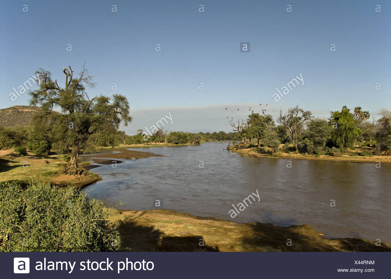 Ewaso Ng'iro River Stock Photos & Ewaso Ng'iro River Stock Images - Alamy