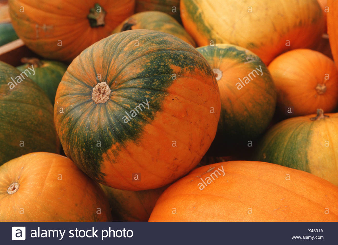 Pepo Berry Fruits Stock Photos & Pepo Berry Fruits Stock Images - Alamy