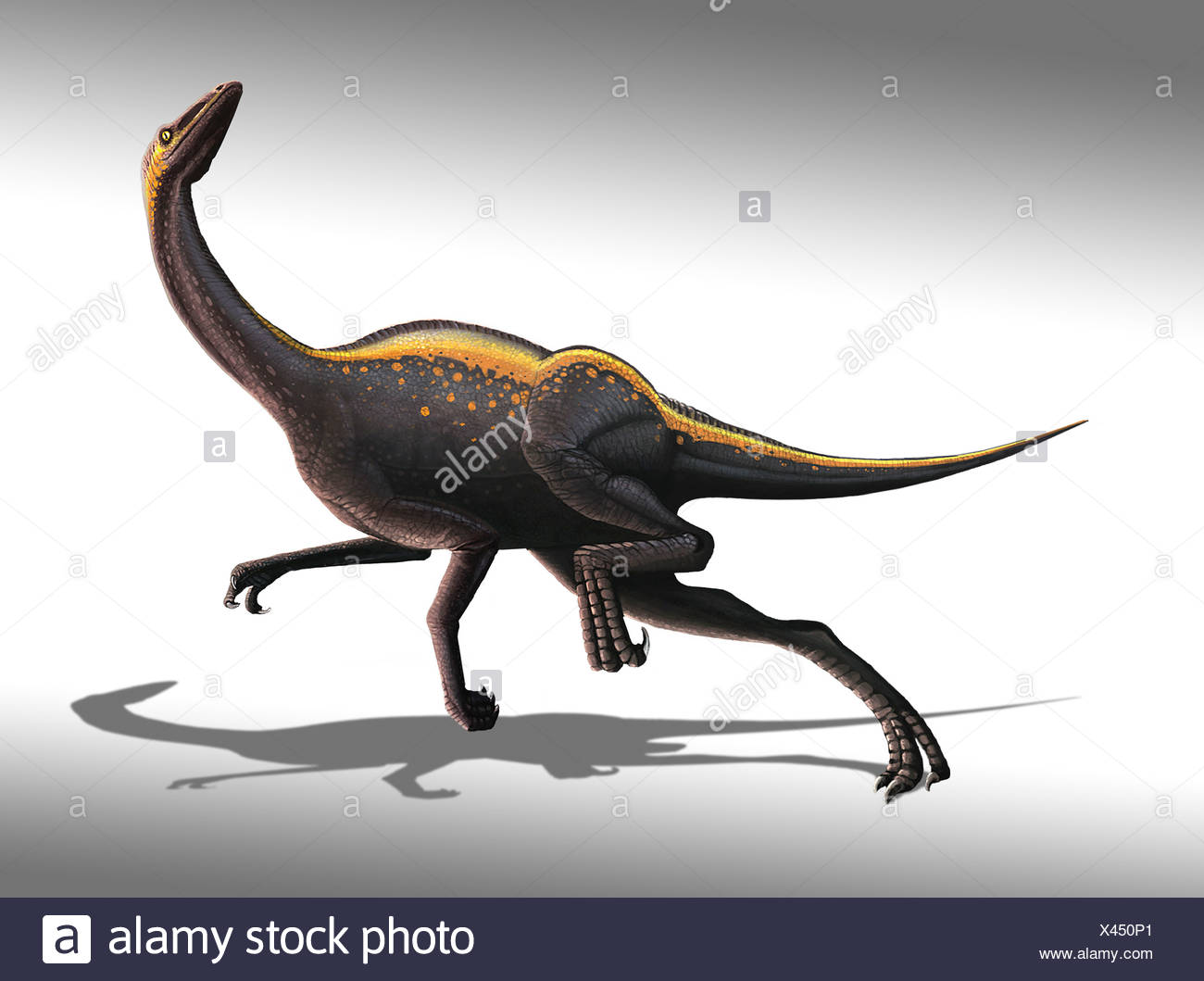 Ornithomimus Stock Photos & Ornithomimus Stock Images - Alamy Ornithomimus Stock Photos & Ornithomimus Stock Images - Alamy