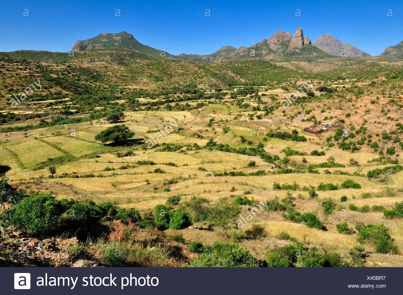 Adwa High Resolution Stock Photography and Images - Alamy