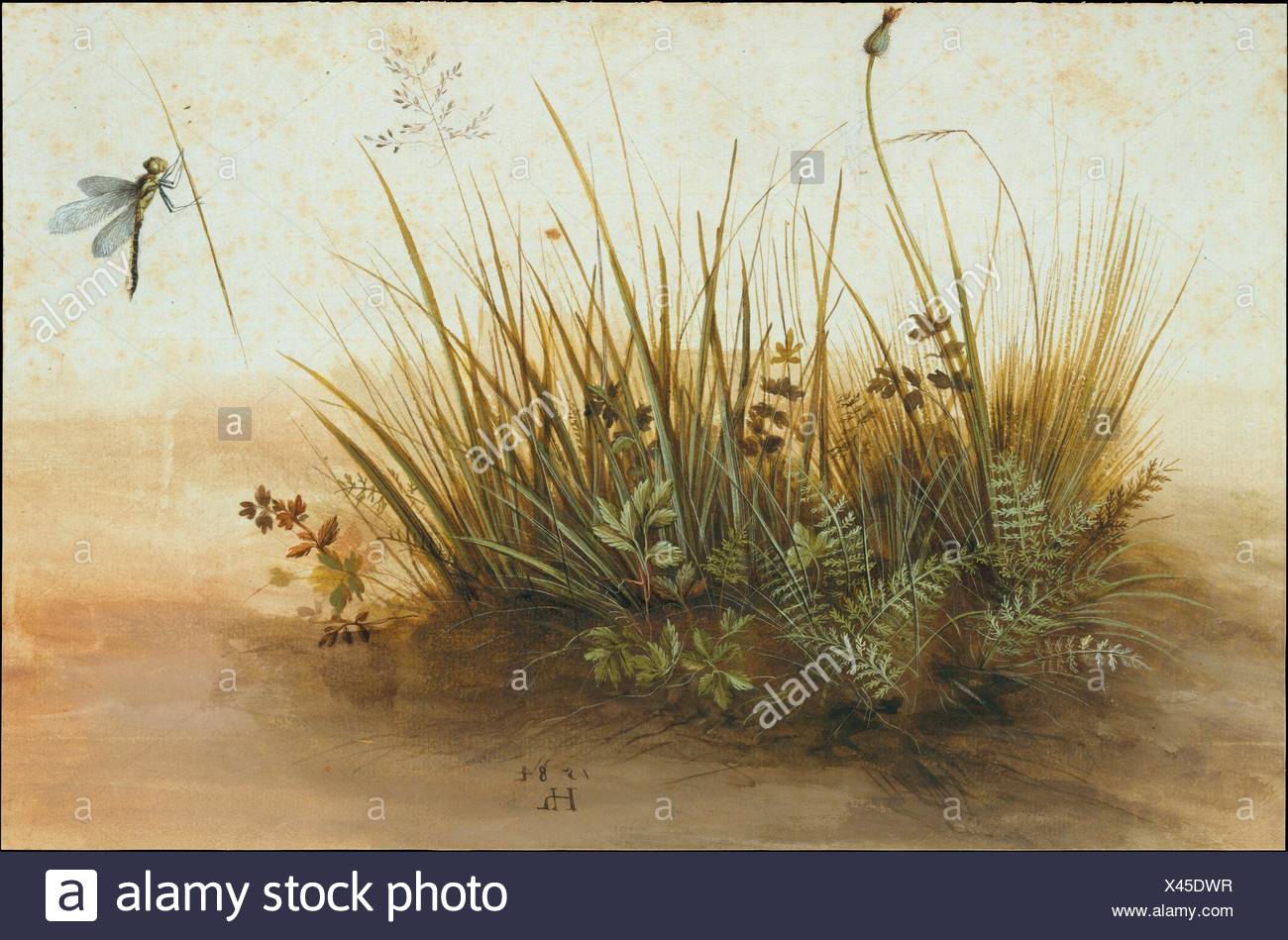 Hans Hoffmann High Resolution Stock Photography and Images - Alamy