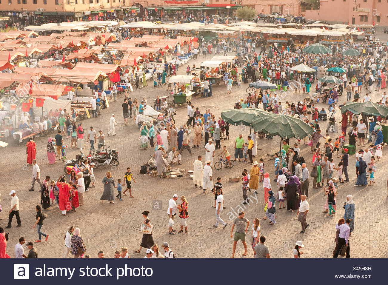 Birds And Insects High Resolution Stock Photography and Images - Alamy