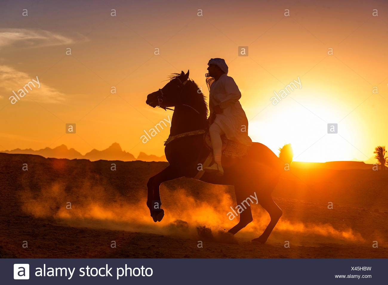 Traditional Arabian Dress High Resolution Stock Photography and Images ...
