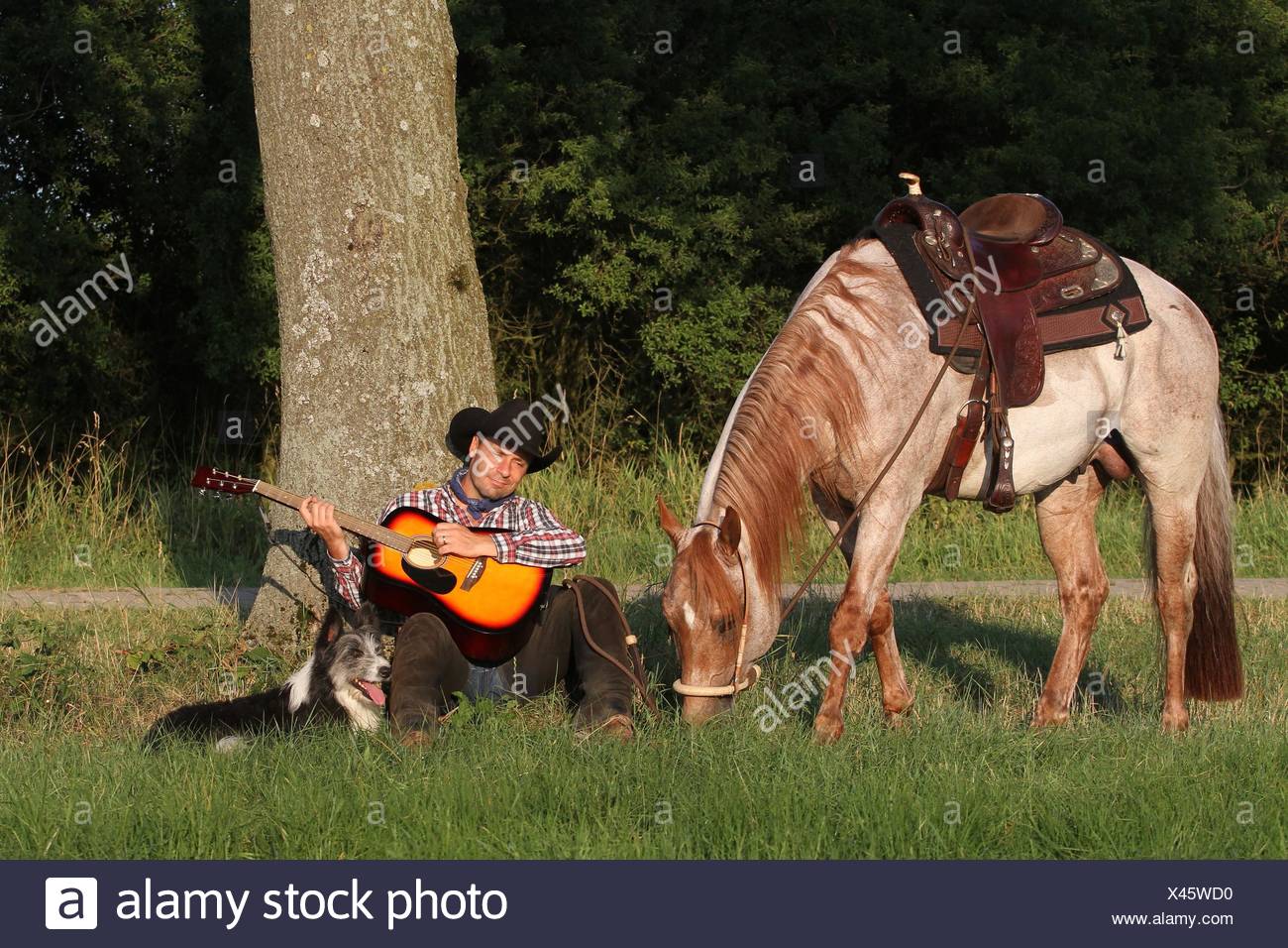Half Man Half Horse Stock Photos & Half Man Half Horse Stock Images - Alamy