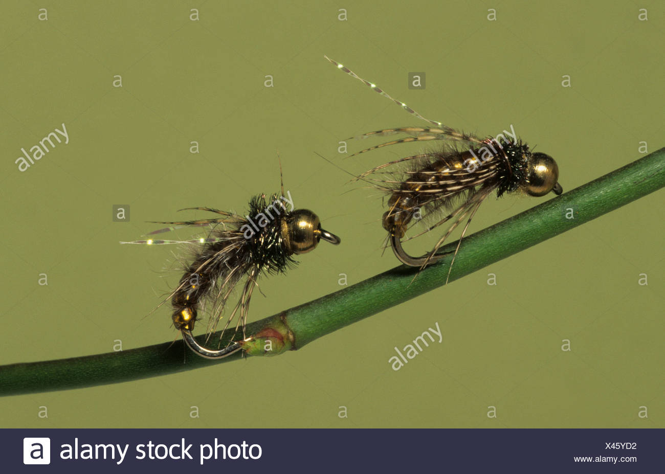 Flies For Fishing High Resolution Stock Photography and Images - Alamy