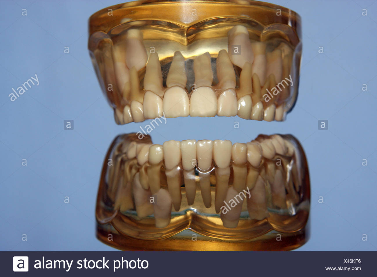 Gold Crown And Teeth High Resolution Stock Photography and Images - Alamy