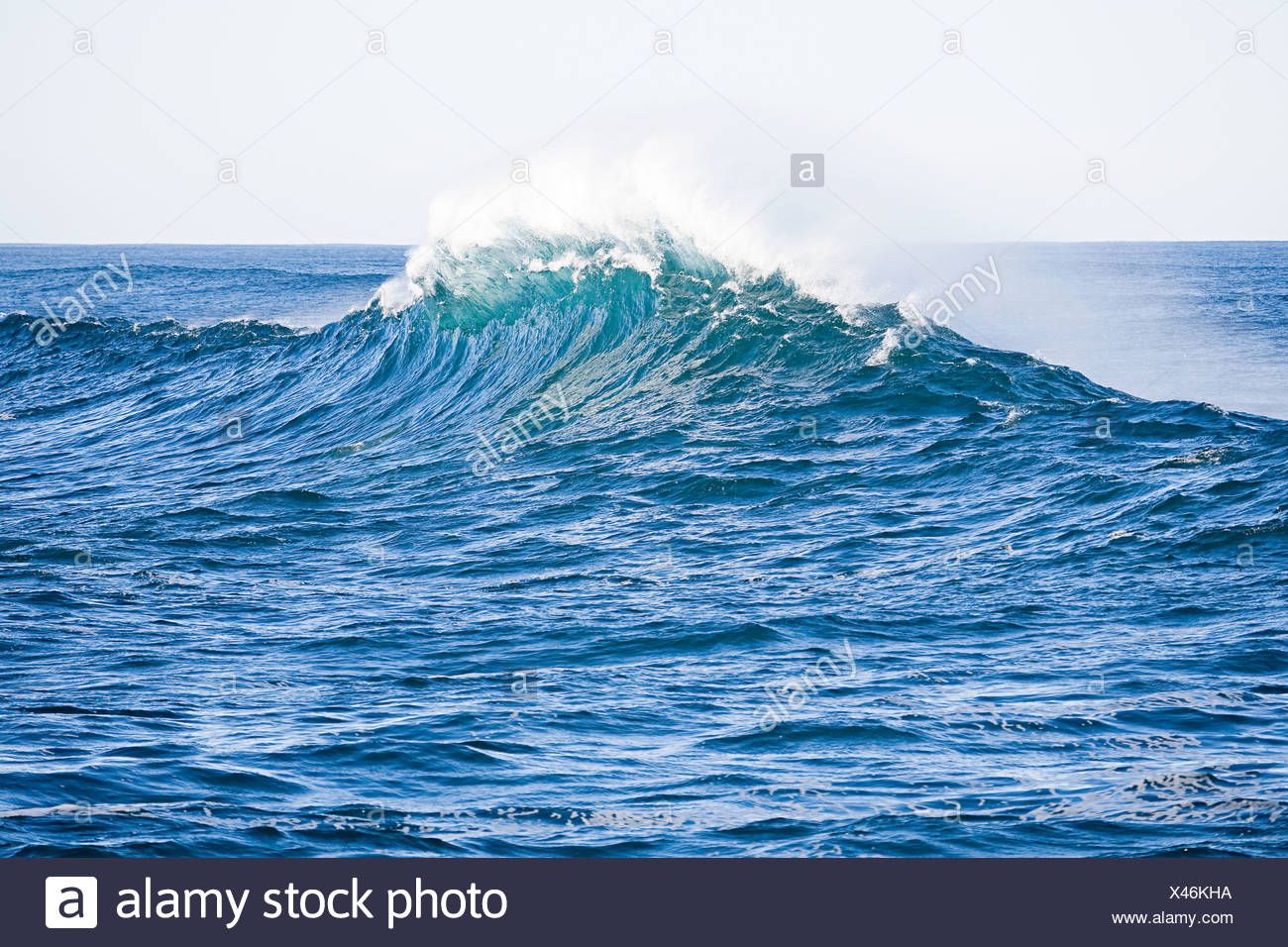 Ocean Wave Stock Photos & Ocean Wave Stock Images - Alamy