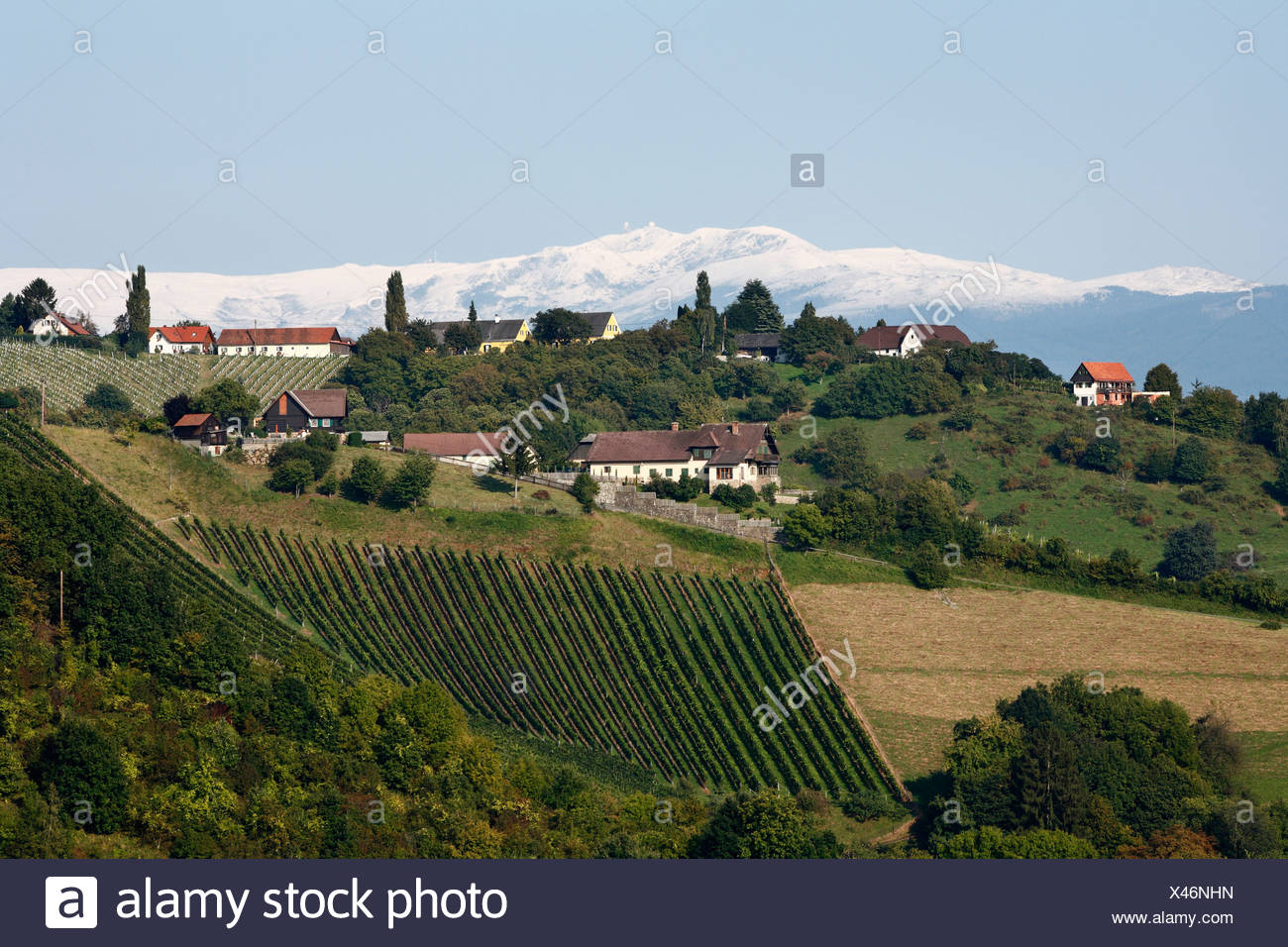 Steiermark Weinberg High Resolution Stock Photography and Images - Alamy