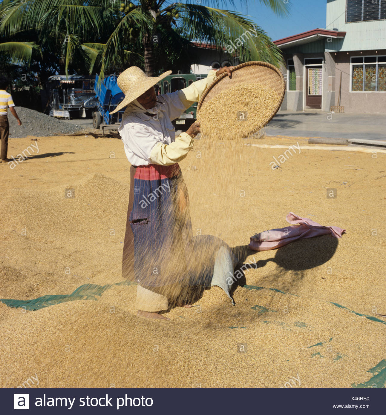 Winnowing Rice Stock Photos & Winnowing Rice Stock Images - Alamy