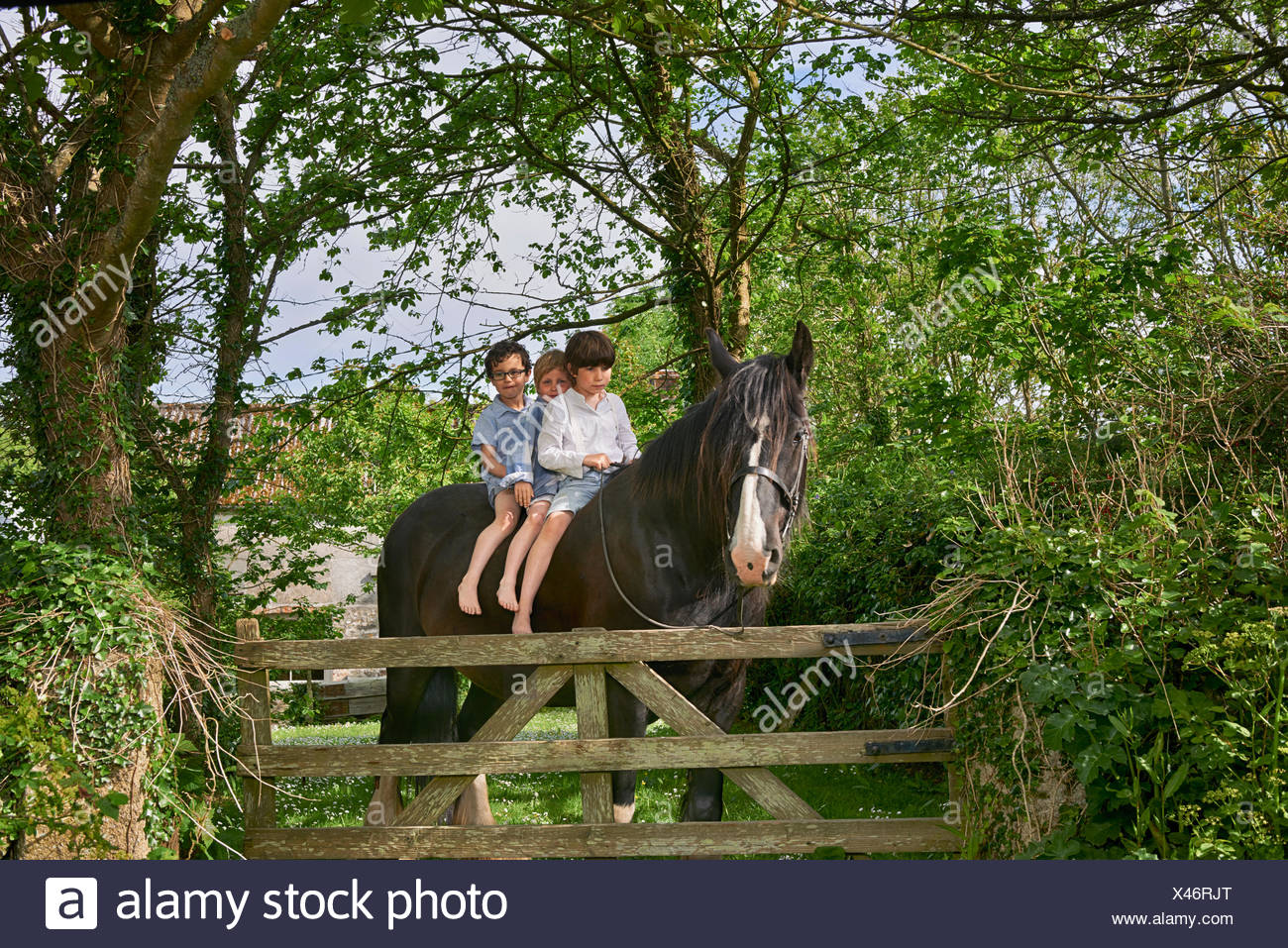 Boy With A Horse High Resolution Stock Photography and Images - Alamy