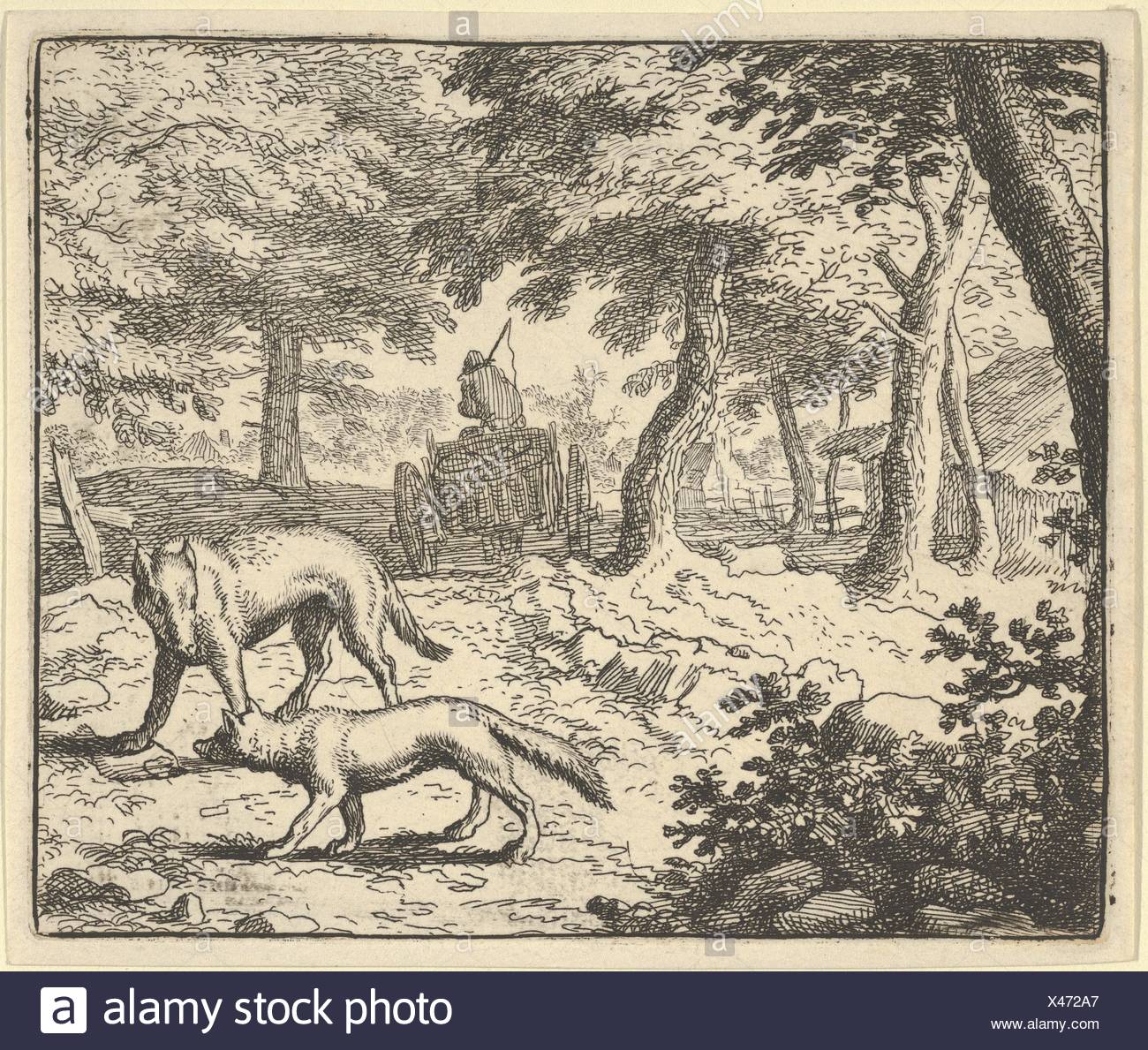 Wolf Eating Fish High Resolution Stock Photography and Images - Alamy