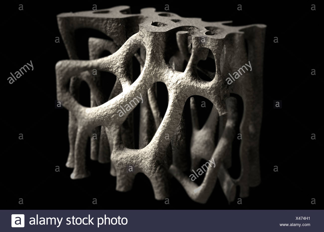 Bone Structure Osteoporosis High Resolution Stock Photography and ...