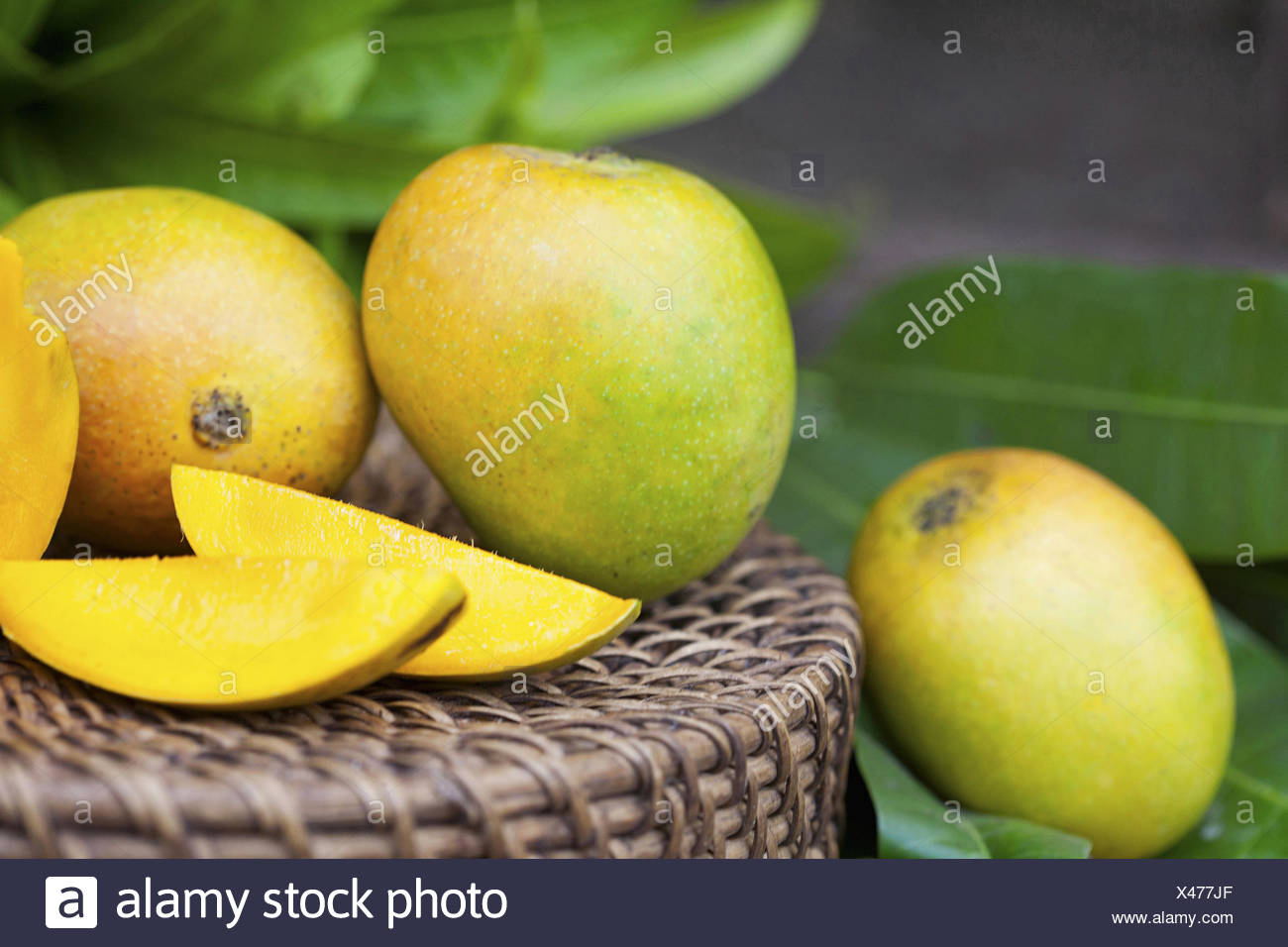 Mankhurd High Resolution Stock Photography and Images - Alamy