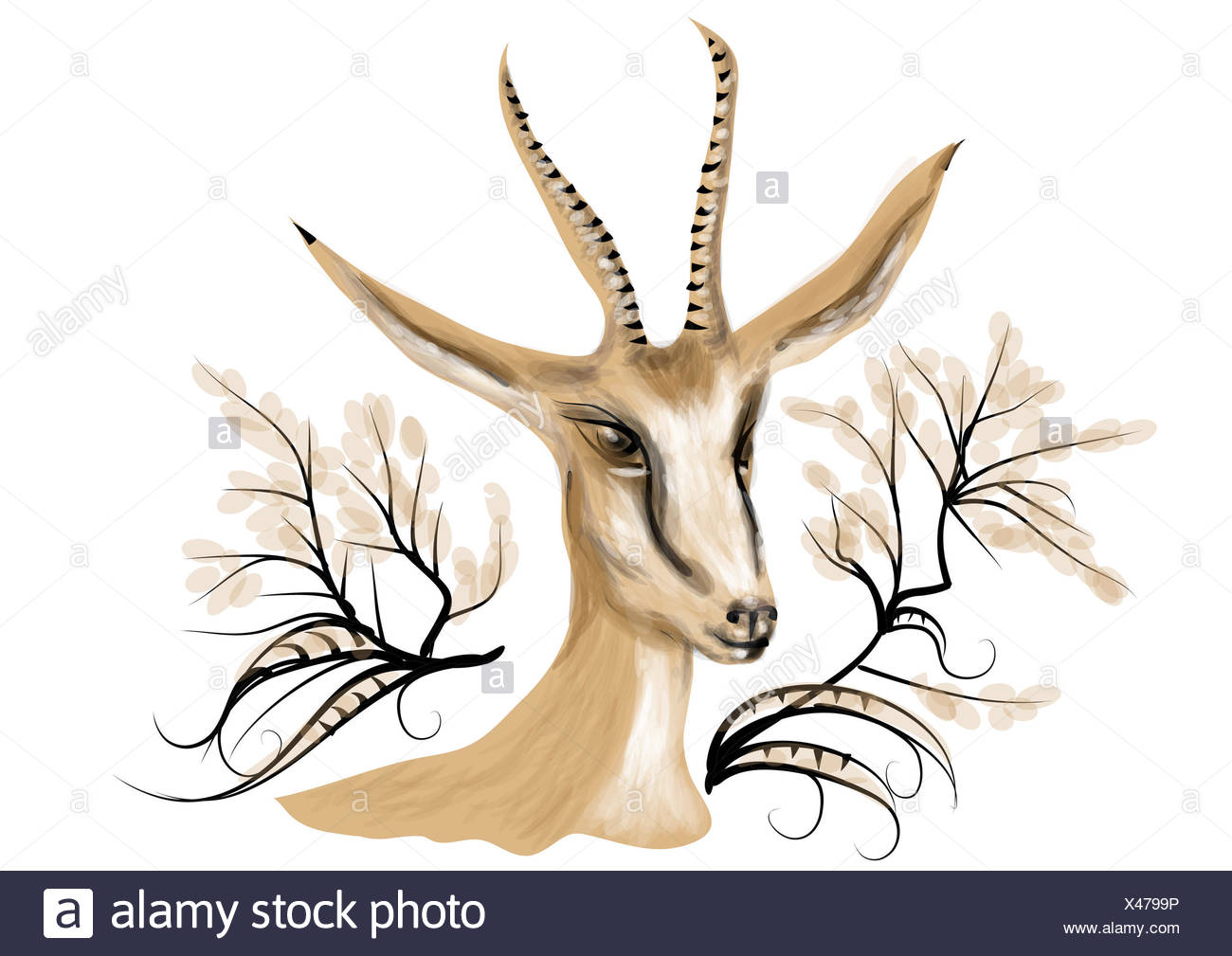 Springbok Cut Out Stock Images & Pictures - Alamy