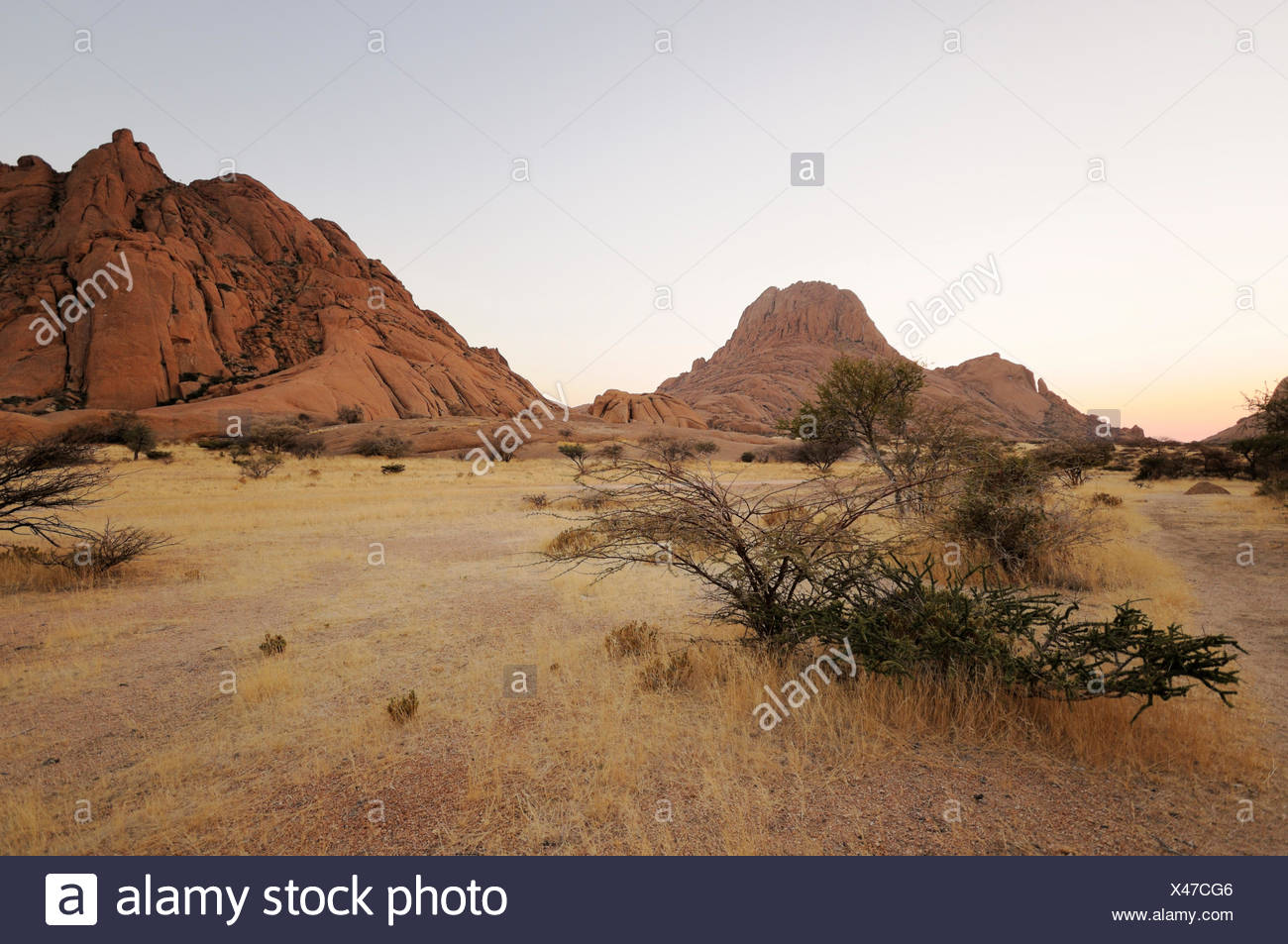 Savannah Vegetation Namibia High Resolution Stock Photography and ...