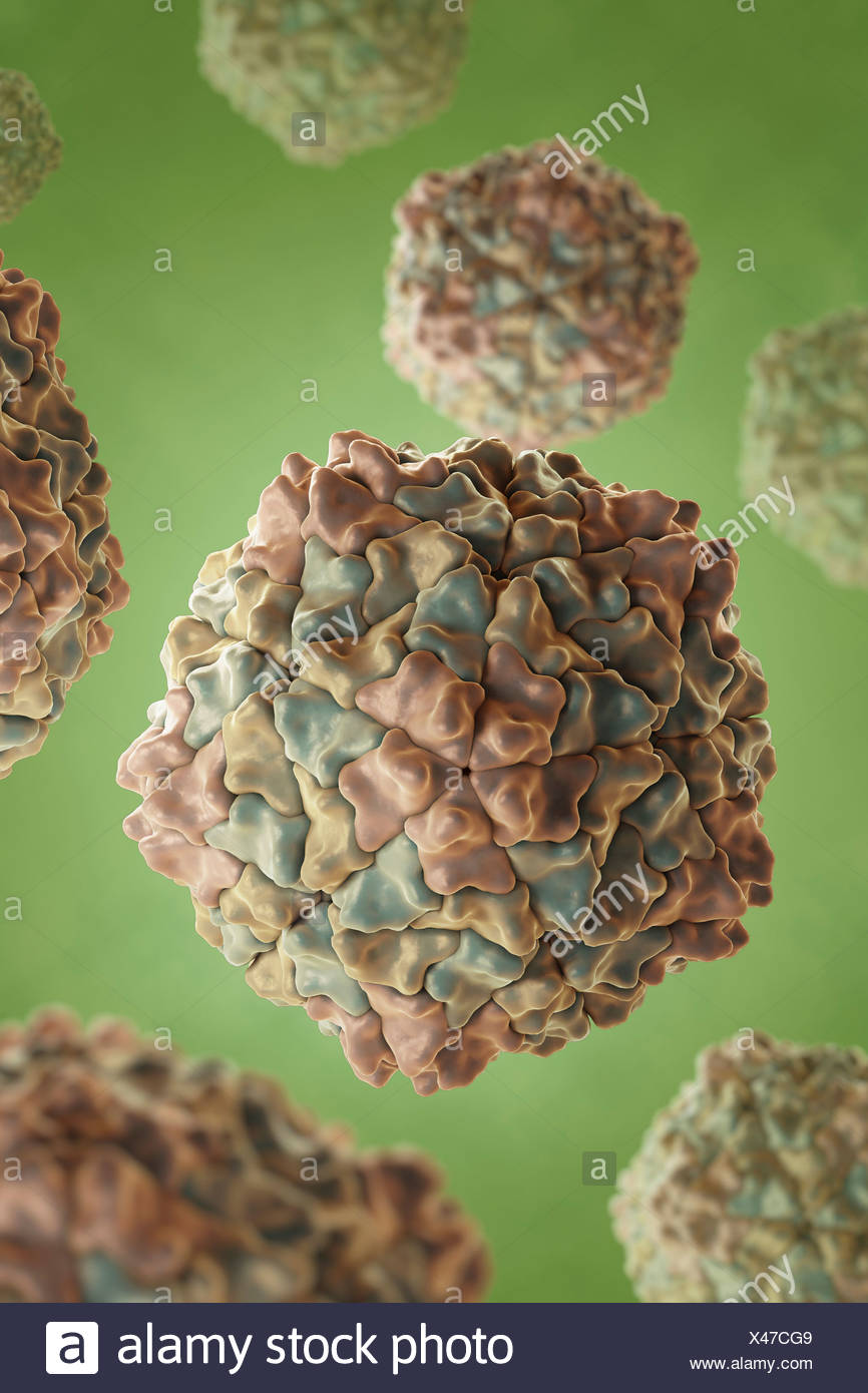 Mottle Stock Photos & Mottle Stock Images - Alamy