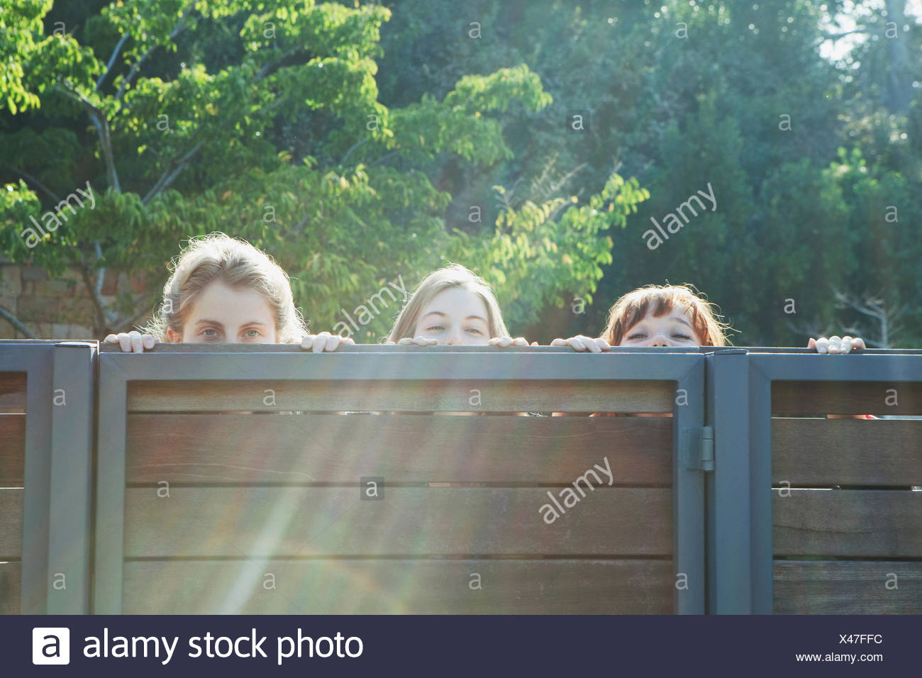 Peering Over Fence Stock Photos & Peering Over Fence Stock Images - Alamy