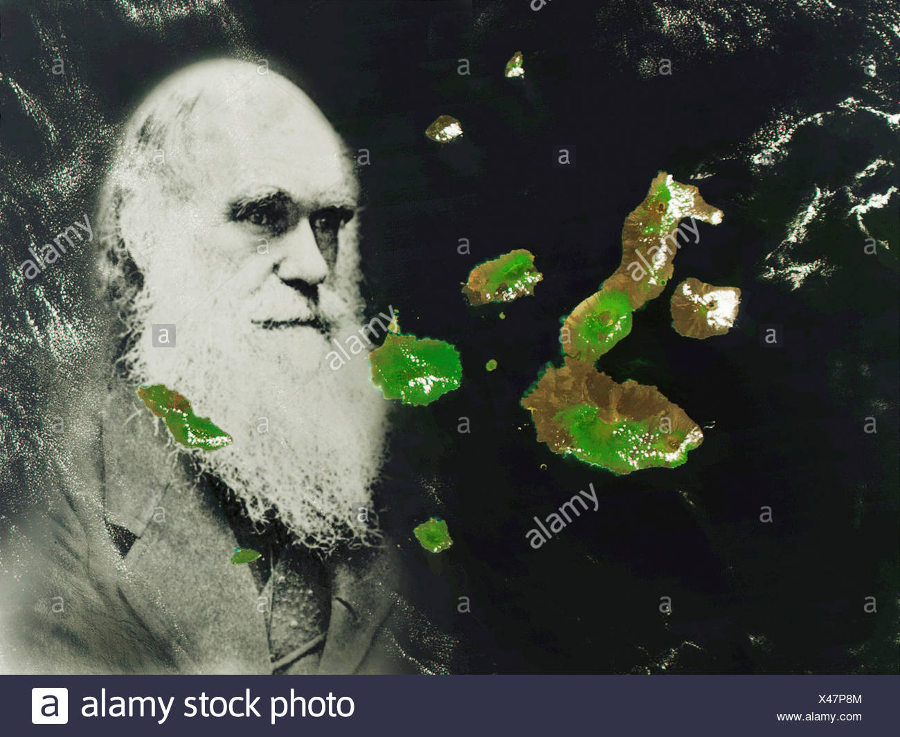 Charles Darwin Stock Photos & Charles Darwin Stock Images - Alamy