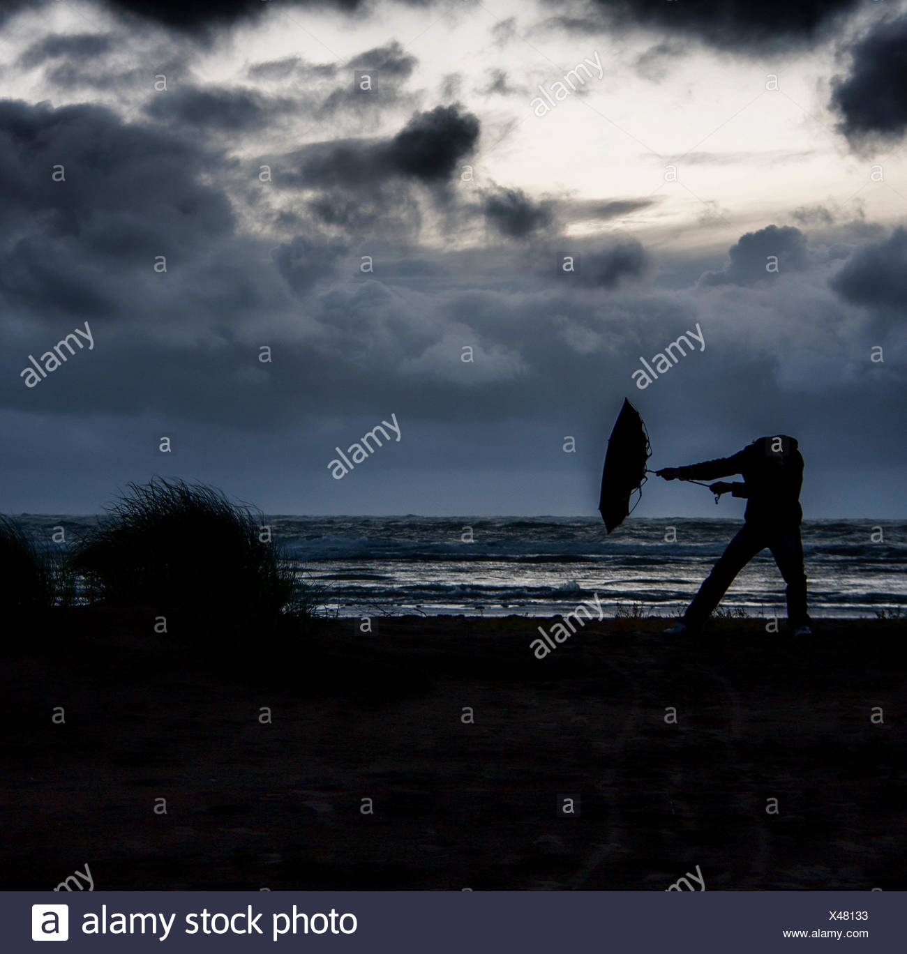 Wind Blown Beach High Resolution Stock Photography and Images - Alamy