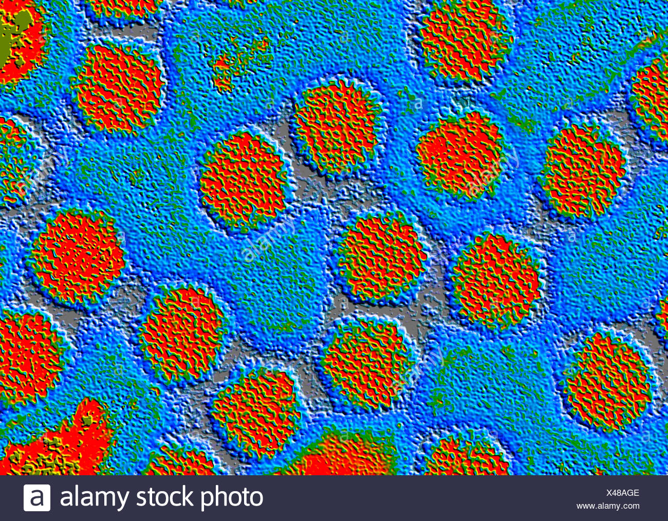 Adenovirus Electron High Resolution Stock Photography and Images - Alamy