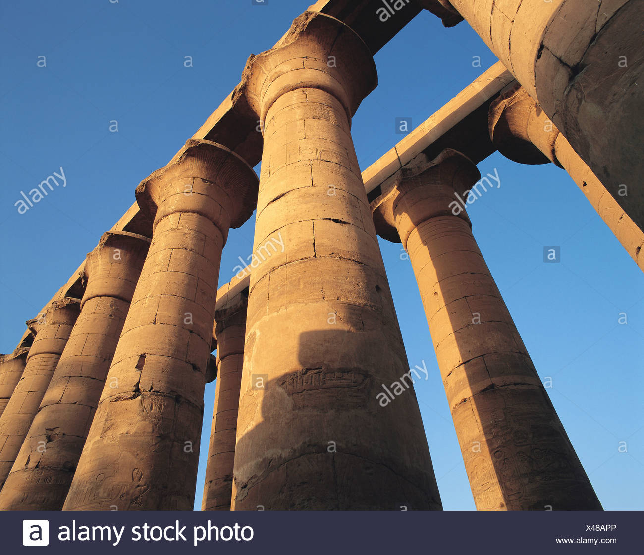 Processional Way High Resolution Stock Photography and Images - Alamy