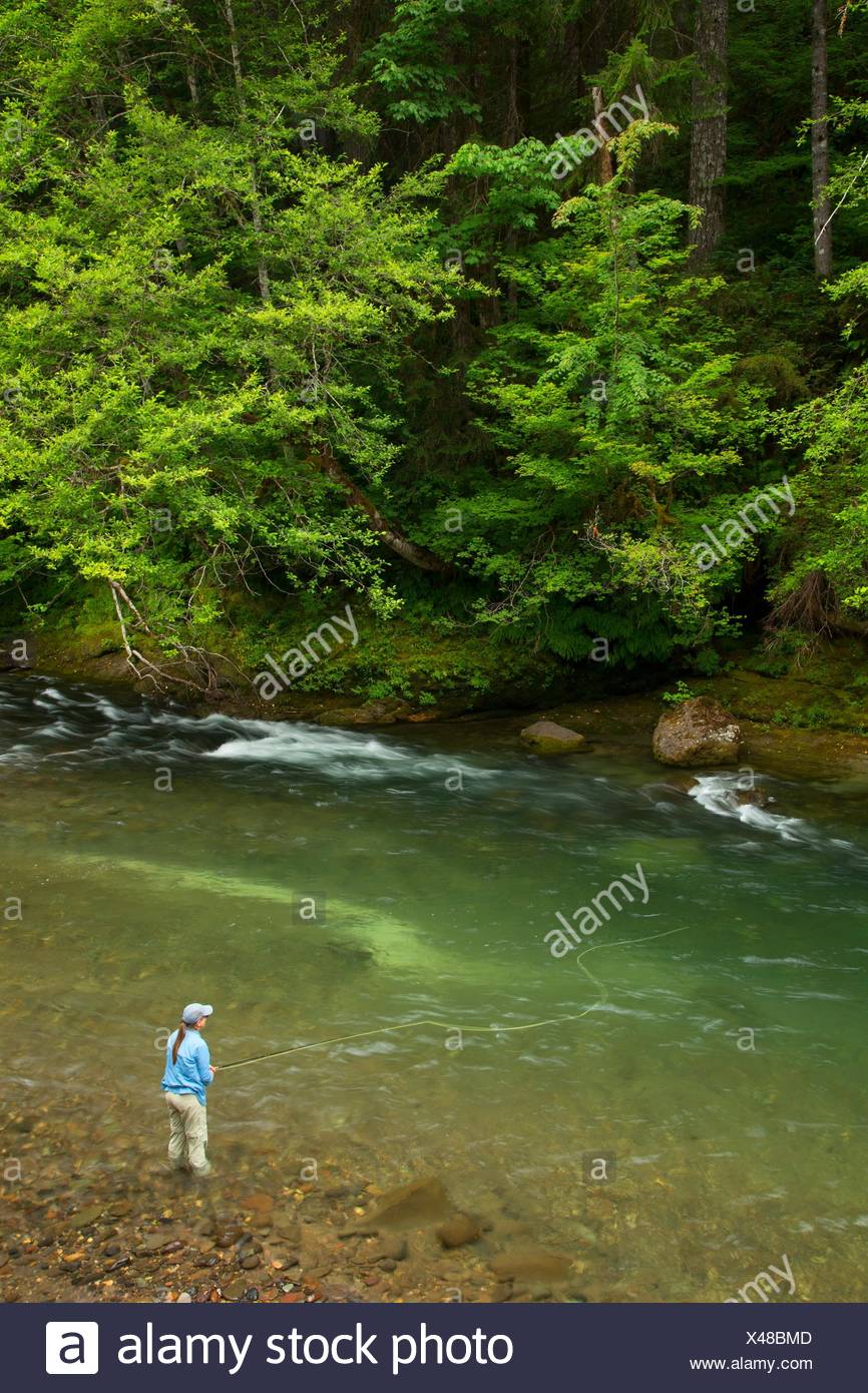 Fly Fishing River High Resolution Stock Photography and Images - Alamy