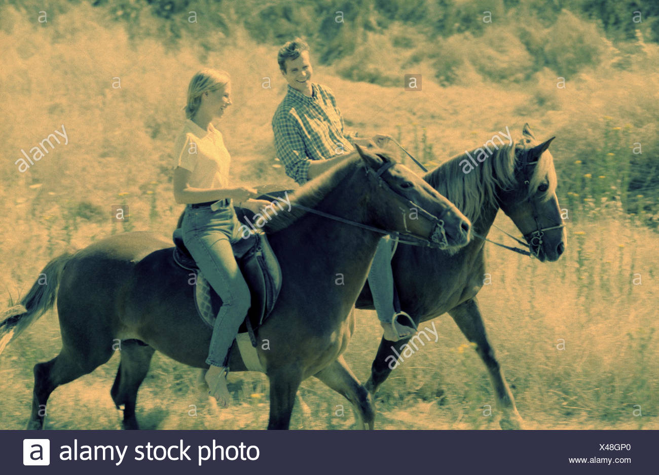 Best Mate Horse Stock Photos & Best Mate Horse Stock Images - Alamy