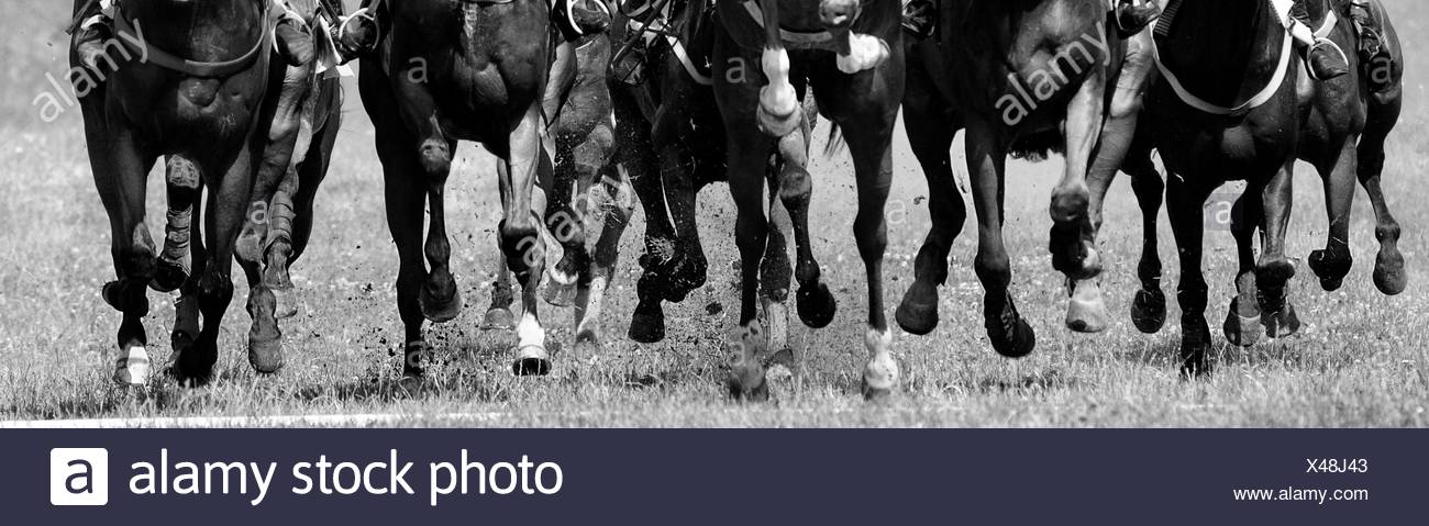 Horse Racing Black and White Stock Photos & Images - Alamy