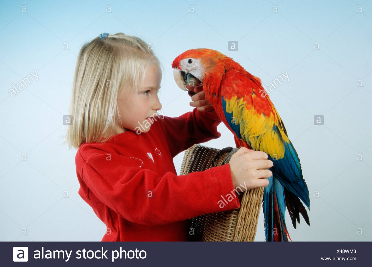 Parrot Macaw Children High Resolution Stock Photography and Images - Alamy
