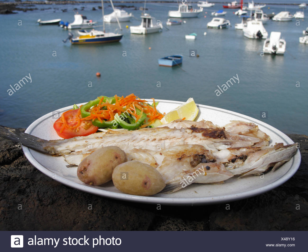 Lanzarote Fish Canary Islands Stock Photos & Lanzarote Fish Canary ...