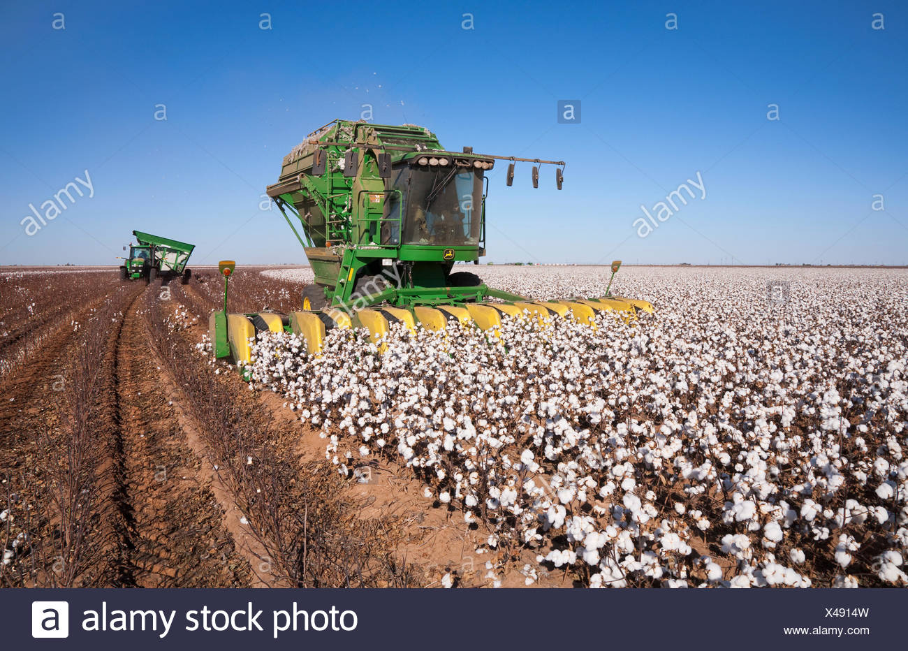 Cotton Wagons Stock Photos & Cotton Wagons Stock Images - Alamy