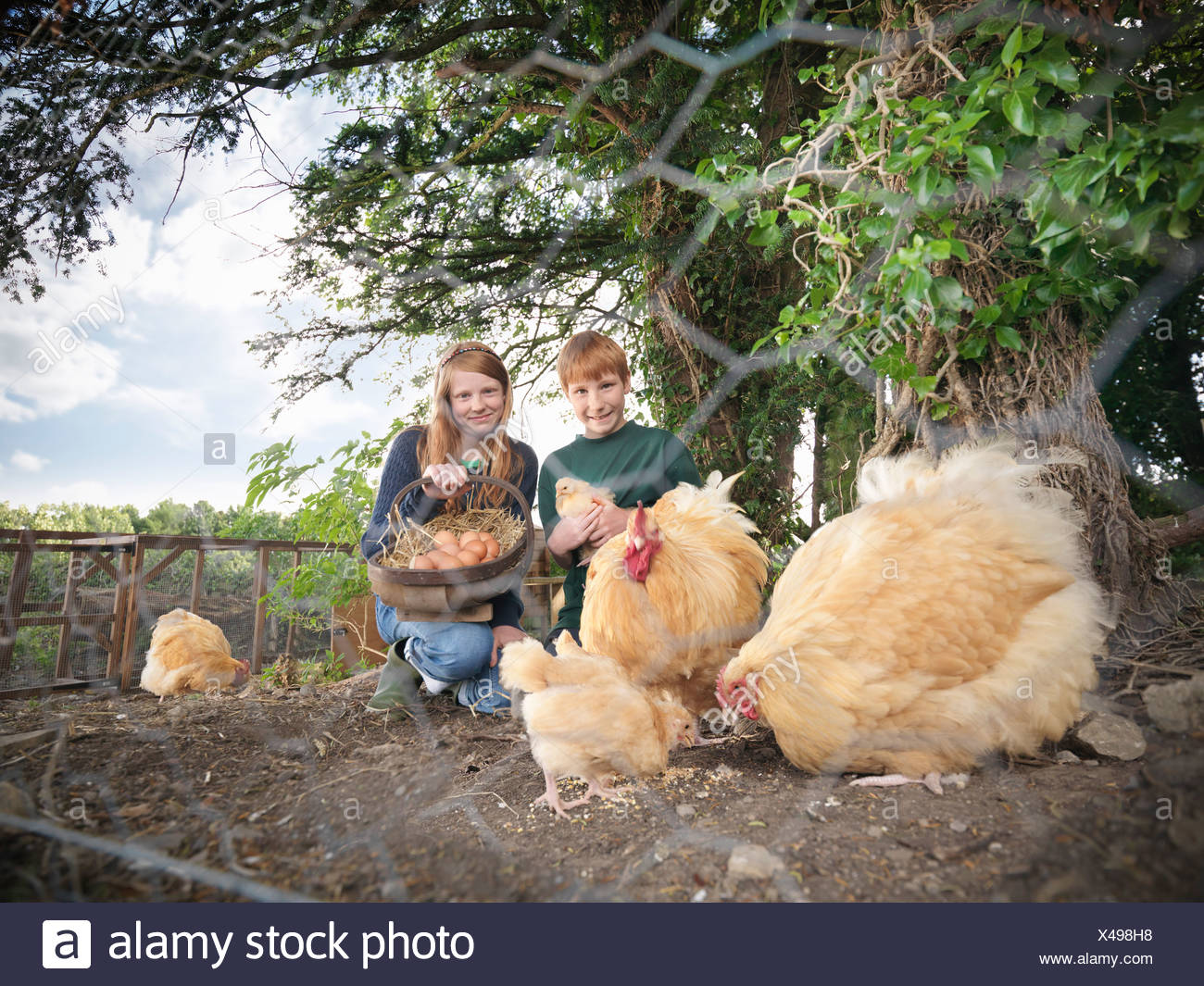 Children With Chickens High Resolution Stock Photography and Images - Alamy