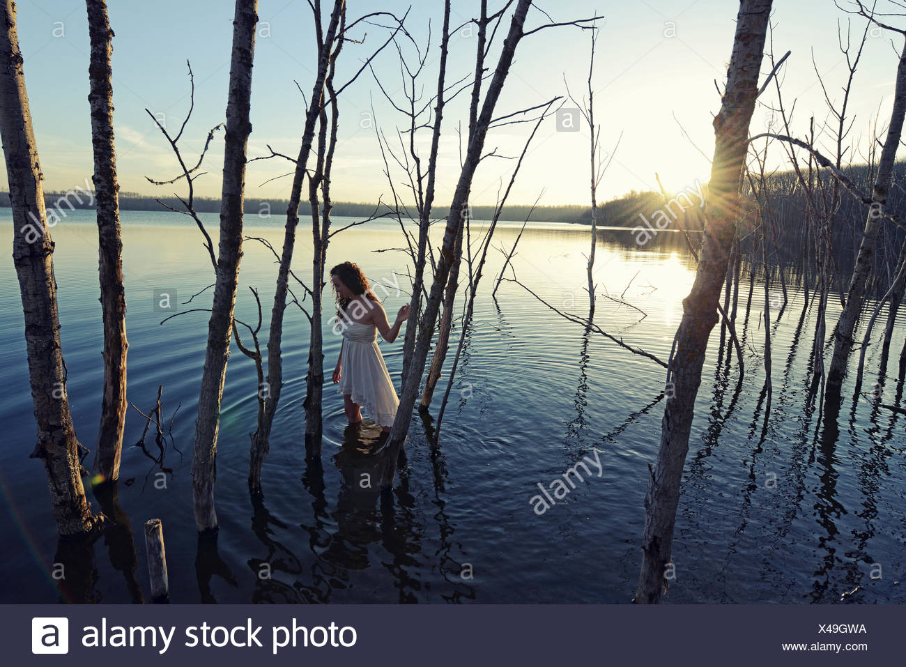 Shallow Perspective High Resolution Stock Photography and Images - Alamy
