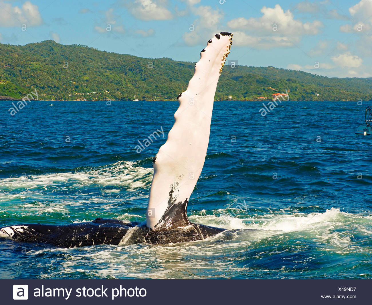 Caribbean Islands Dominican Republic High Resolution Stock Photography ...