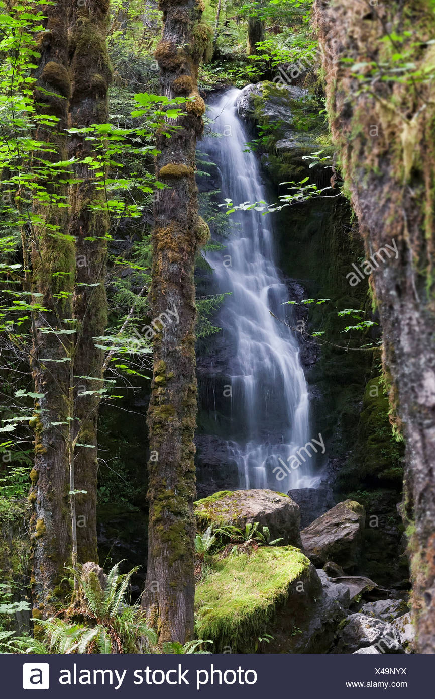 Merriman High Resolution Stock Photography and Images - Alamy