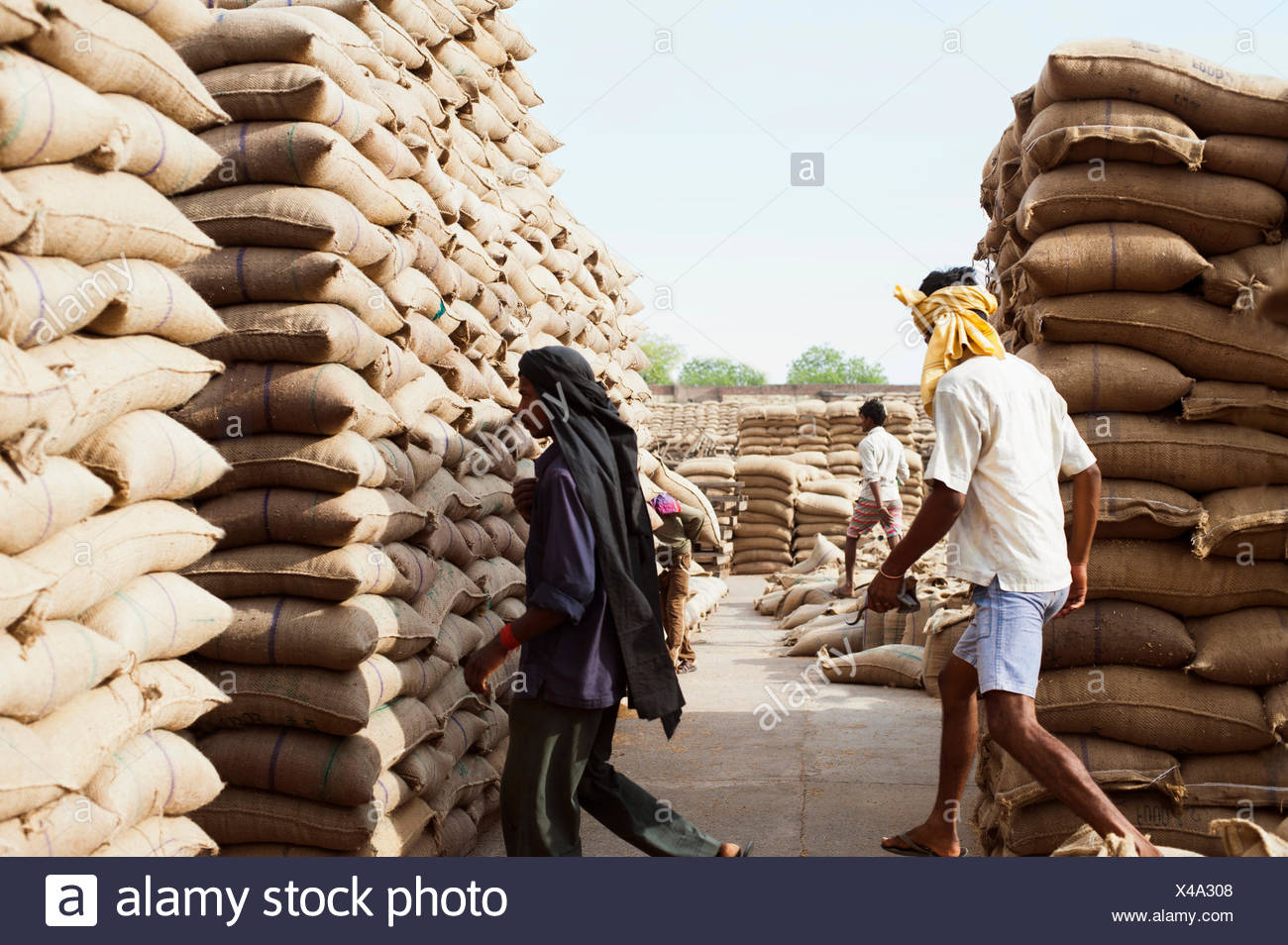 Anaj Mandi Stock Photos & Anaj Mandi Stock Images - Alamy