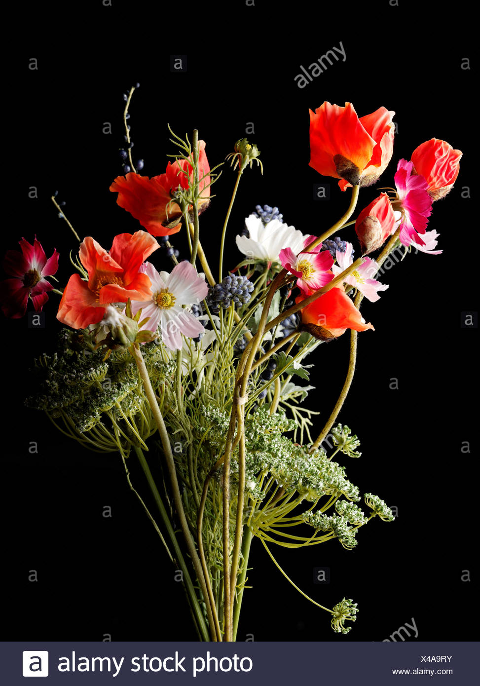 Dead Flowers Stock Photos & Dead Flowers Stock Images - Alamy