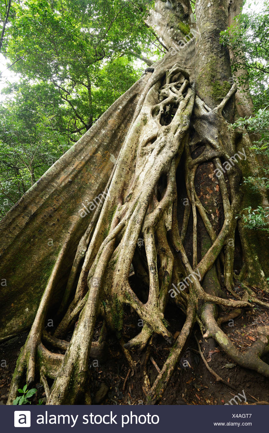 Stranger High Resolution Stock Photography and Images - Alamy