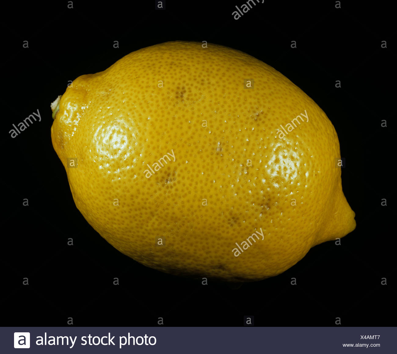 How To Spot A Lemon High Resolution Stock Photography and Images - Alamy
