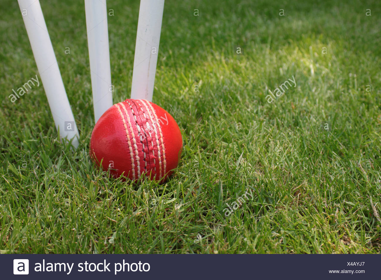 Cricket Ball Stumps High Resolution Stock Photography and Images - Alamy