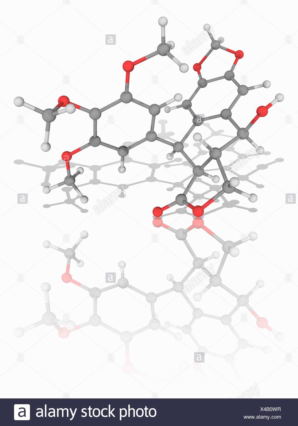 Genital Warts Stock Photos & Genital Warts Stock Images - Alamy