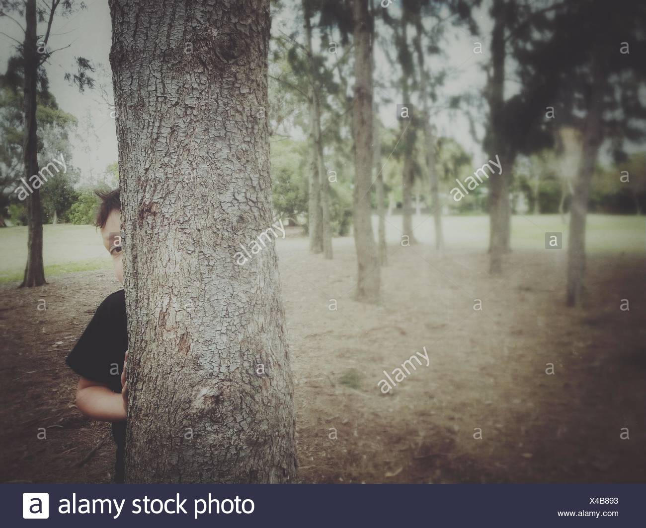Boy Hiding Behind Tree High Resolution Stock Photography and Images - Alamy