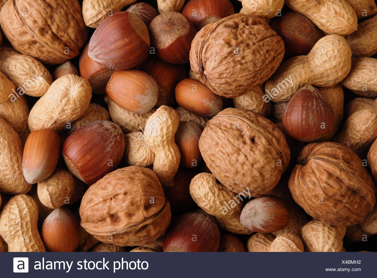 Filbert Nut High Resolution Stock Photography and Images - Alamy